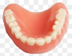Objects - Dentures - Free Transparent PNG Clipart Images Download