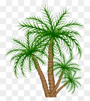 Royal Palm - Roystonea Regia Png - Free Transparent PNG Clipart Images ...