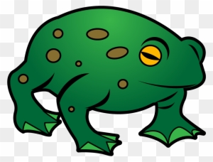 Toad, Transparent PNG Clipart Images Free Download - ClipartMax
