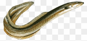 Clipart Backgrounds, Transparent PNG Clipart Images Free Download ...