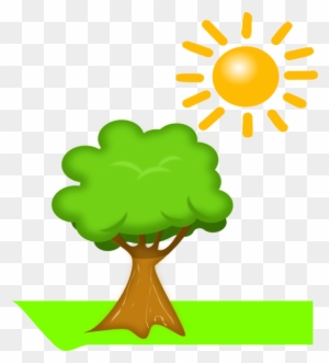 Cartoon Tree And Sun - Free Transparent PNG Clipart Images Download
