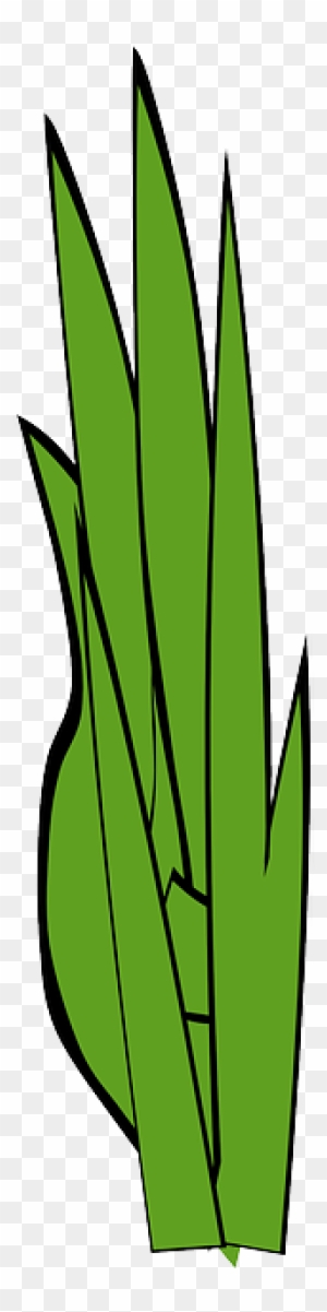 Gramineous Plant Blades Of Grass, Grass, Weed, Gramineous - Ot Cızımı ...