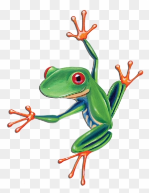 Red Eyed Tree Frog Clipart Transparent - Tree Frogs Red Eye - Free ...