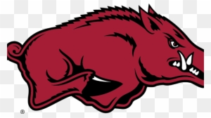 By Michael Delgiorno - Arkansas Razorbacks - Free Transparent PNG ...