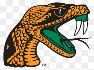A1p1fq - Famu Rattler - Free Transparent PNG Clipart Images Download