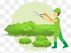 Trimming A Hedge Royalty Free Vector Clip Art Illustration - Gardener ...