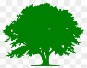 Oak Tree Icon - Tree Icon Png - Free Transparent PNG Clipart Images ...