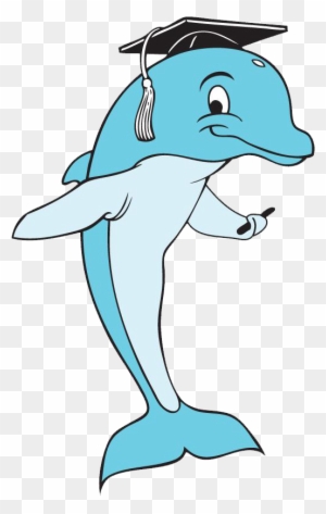 Dolphin Clipart Graduation - Dolphin Clipart - Free Transparent PNG ...
