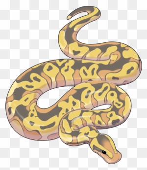 Pets Clipart Short Snake - Cute Ball Python Drawing - Free Transparent ...