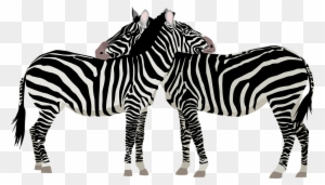 Two Giraffes Animals Clip Art - Number 2 With Animals - Free ...