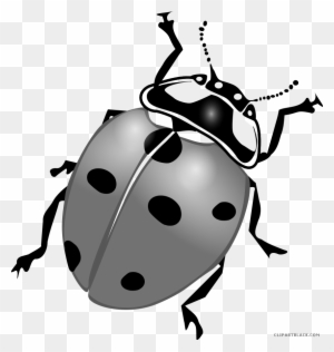 Lightning Bug Animal Free Black White Clipart Images - Ladybird Black ...