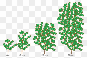 1113763508, Photo - Money Tree Growth Rate - Free Transparent PNG ...