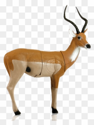 African Impala Pro 3d Target - Impala 3d Target - Free Transparent PNG ...