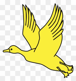 Flying Duck Gif