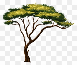 Safari Tree Vector