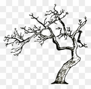 Dead Trees - Line Art - Free Transparent PNG Clipart Images Download