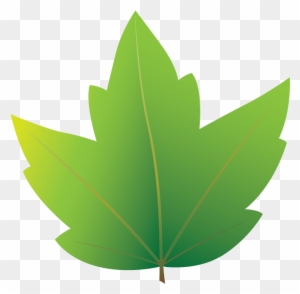 Recycling Wallpapers For Personal Use - Maple Leaf - Free Transparent ...