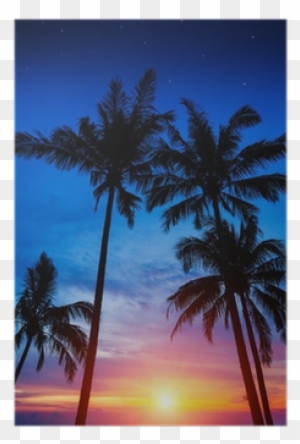 Palm Trees, Sunset And The Starry Sky Poster • Pixers® - Keep Calm ...