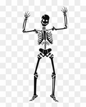 Scary Human Skeleton Vector Image - Human Skeleton Clip Art - Free ...