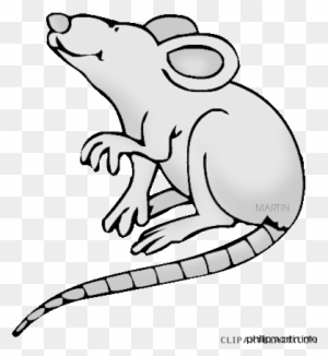 Rat Animal Free Black White Clipart Images Clipartblack - River Ratz ...