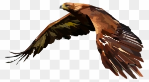 Big Image - Big Hawk - Free Transparent PNG Clipart Images Download