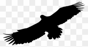 Bird Bald Eagle Silhouette Golden Eagle - Kotka Siluetti - Free ...