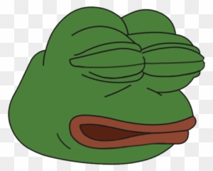 Funny Frog Cartoon Meme