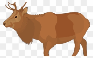 Collection Of Free Carriboo Clipart Cute Download On - Animated Elk ...