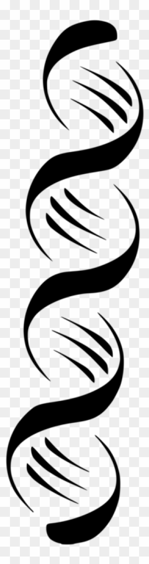 Double Helix Icon - Double Helix - Free Transparent PNG Clipart Images ...