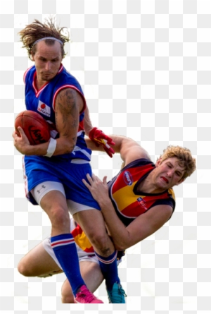 Denver Bulldogs - Western Bulldogs - Free Transparent PNG Clipart ...