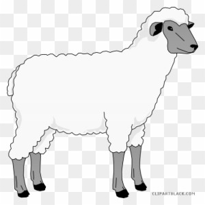Sheep Clip Art Clipart Goat Merino Clip Art - Sheep Png Clip Art - Free ...