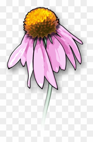 Drawing Death Download Dead Flowers Art - Dead Flower Clipart - Free ...