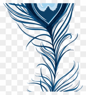 Peacock Feather Clipart Download Peacock Feather Free - Pfau-feder ...