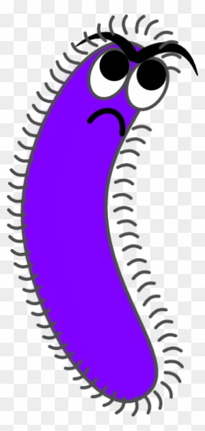 Gram Positive Clip Art At Clker - Gram Negative Bacteria Png - Free ...