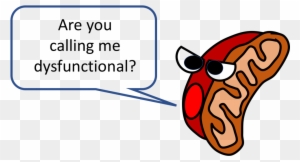 Mitochondrial Dysfunction - Free Transparent PNG Clipart Images Download