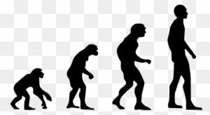 Some Transitions Take Longer Than Others - Evolution Of Man Silhouette ...