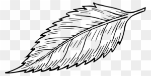 Line Art Drawing Leaf Tree Plants - Line Drawing Of Leaf - Free ...