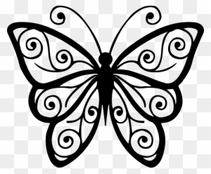 Butterfly Insect Line Art Drawing Black And White - Butterfly Line Art ...