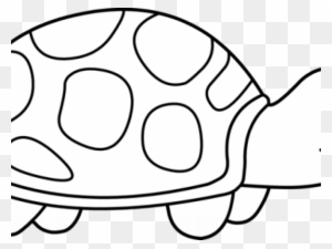 Turtle Outline Animal Free Black White Clipart Images - Life Cycle Of A ...