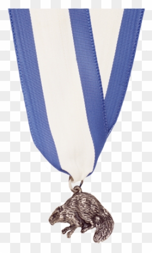 Silver Beaver - Free Transparent PNG Clipart Images Download