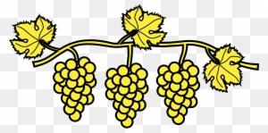 Vines Svg Grape - Dessin Branche De Vigne - Free Transparent PNG ...