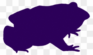 Amphibians - Toad - Free Transparent PNG Clipart Images Download