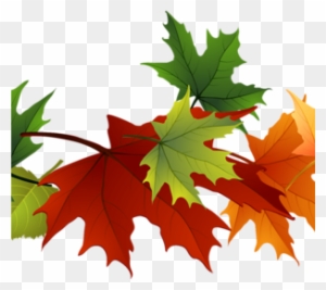 Fall Foliage Clipart Fall Foliage Clipart Fall Transparent - Fall Color ...