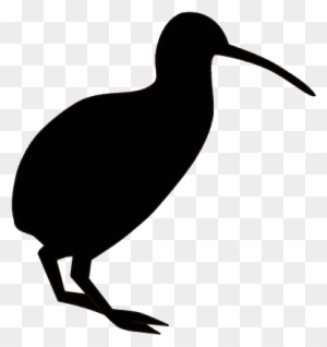 Yes New Zealand Has Pushed Forward And Legalized Investment - Kiwi Bird ...