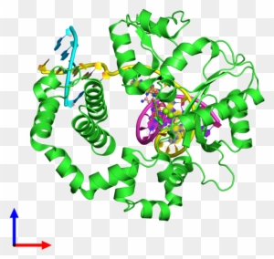 Pdb 5ugp Coloured By Chain And Viewed From The Front - Illustration ...