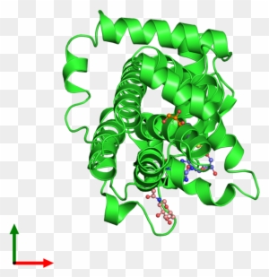 Protein Data Bank - Free Transparent PNG Clipart Images Download