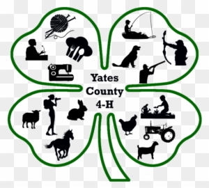 We Will Be Placing An Order For 4 H T Shirts - 4 Ht Shirt Designs ...