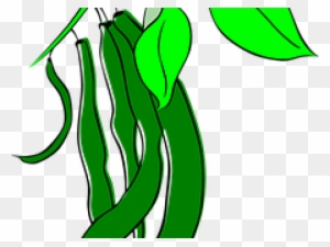 String Beans, Transparent PNG Clipart Images Free Download - ClipartMax