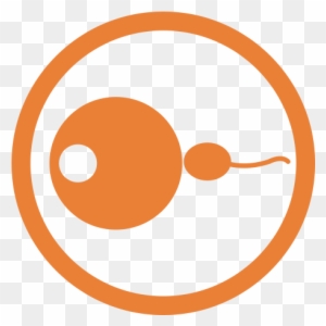 Ivf, Transparent PNG Clipart Images Free Download - ClipartMax