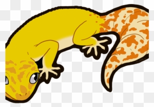 Leopard Gecko Clipart Transparent Background - Leopard Gecko Clipart ...